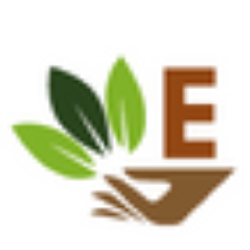 ELBiB Massage Therapy | Info