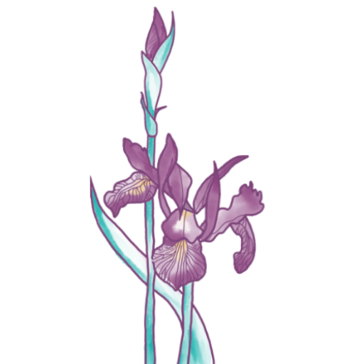 Maria Payne RMT | Info