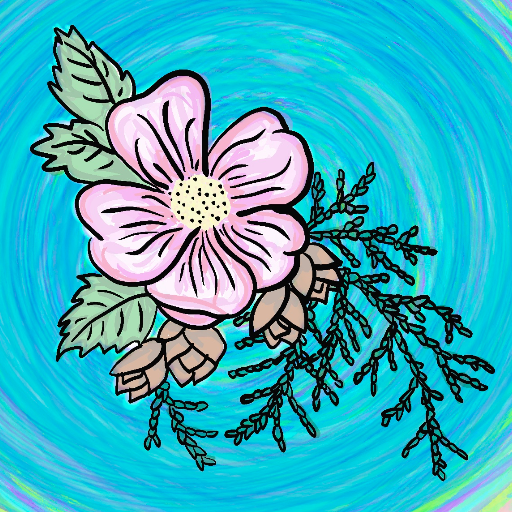 Anna Rosa Taylor Falcioni's Clinic | Info