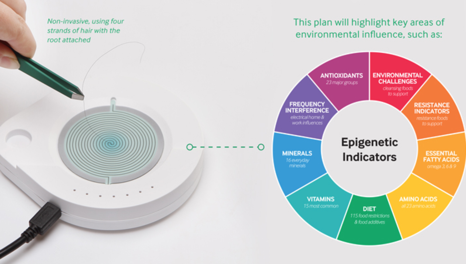 Epigenetic Hair Profile - Initial Consultation - 75 Mins | Well Body ...