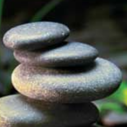 Knot Therapy Therapeutic Massage | Info