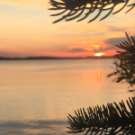 90min Massage Therapy | Book Online